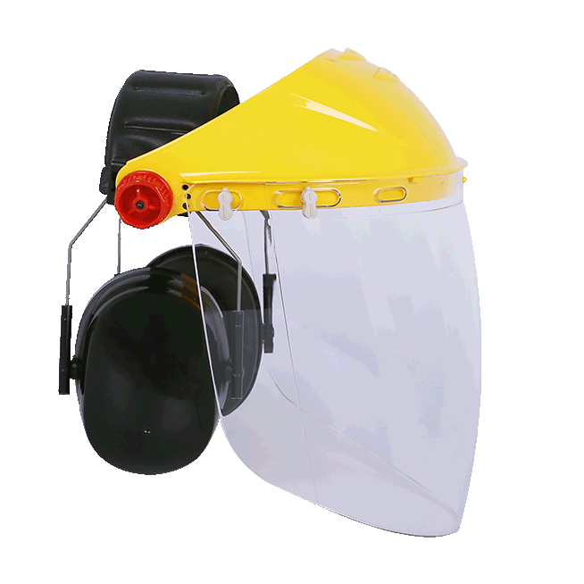 Radiant Guardian – Proguard Technologies (M) Sdn. Bhd.